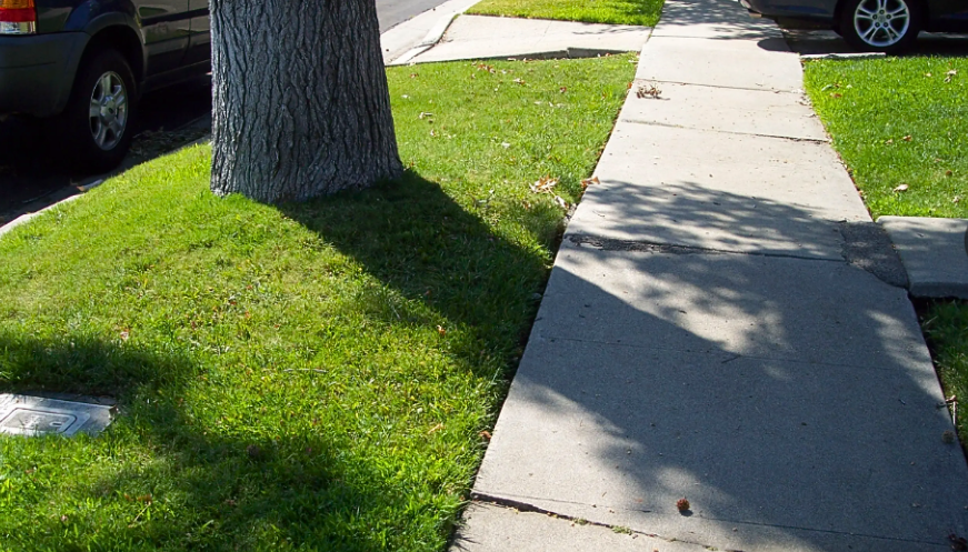 Beverlywood Sidewalk Repair Program